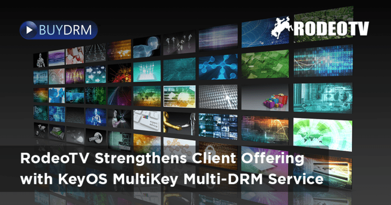 DRM Software Solutions | Server | Watermarking Services by BuyDRM
