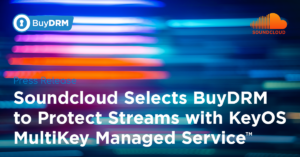 DRM Software Solutions | Server | Watermarking Services by BuyDRM